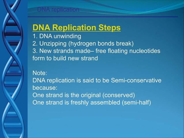 DNA_Replication_ppt.pptpppppppppppppppppppp | PPT