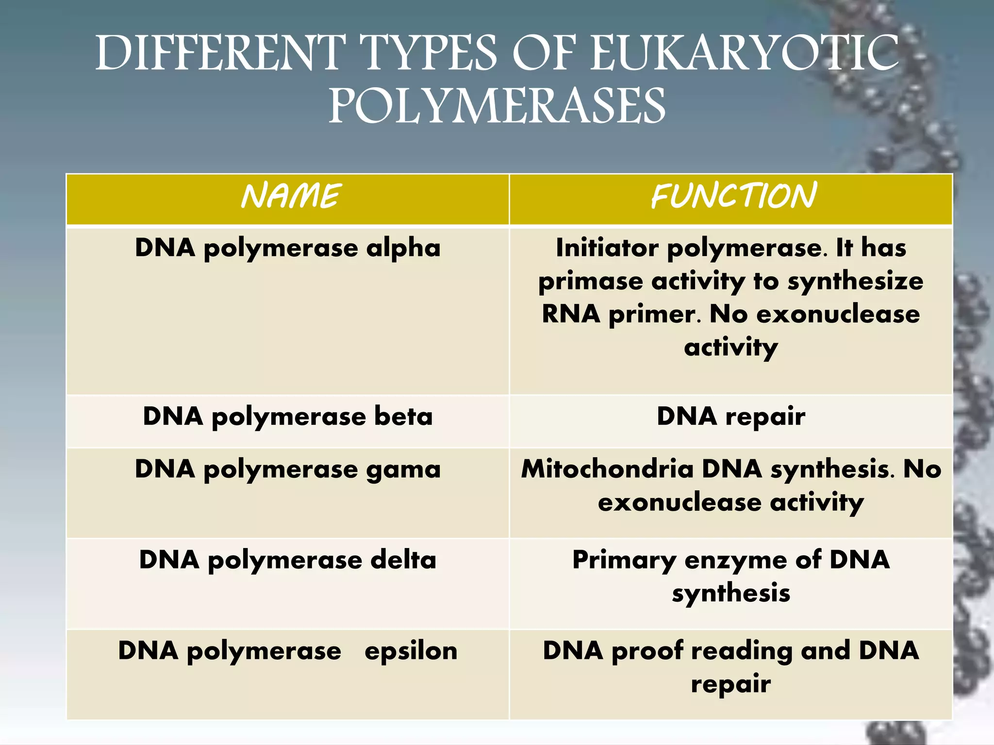 Dna replication MBBS | PPT