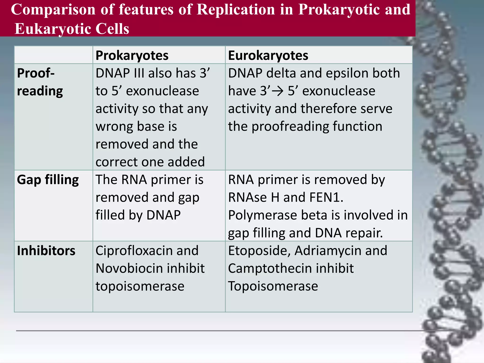 Dna replication MBBS | PPT