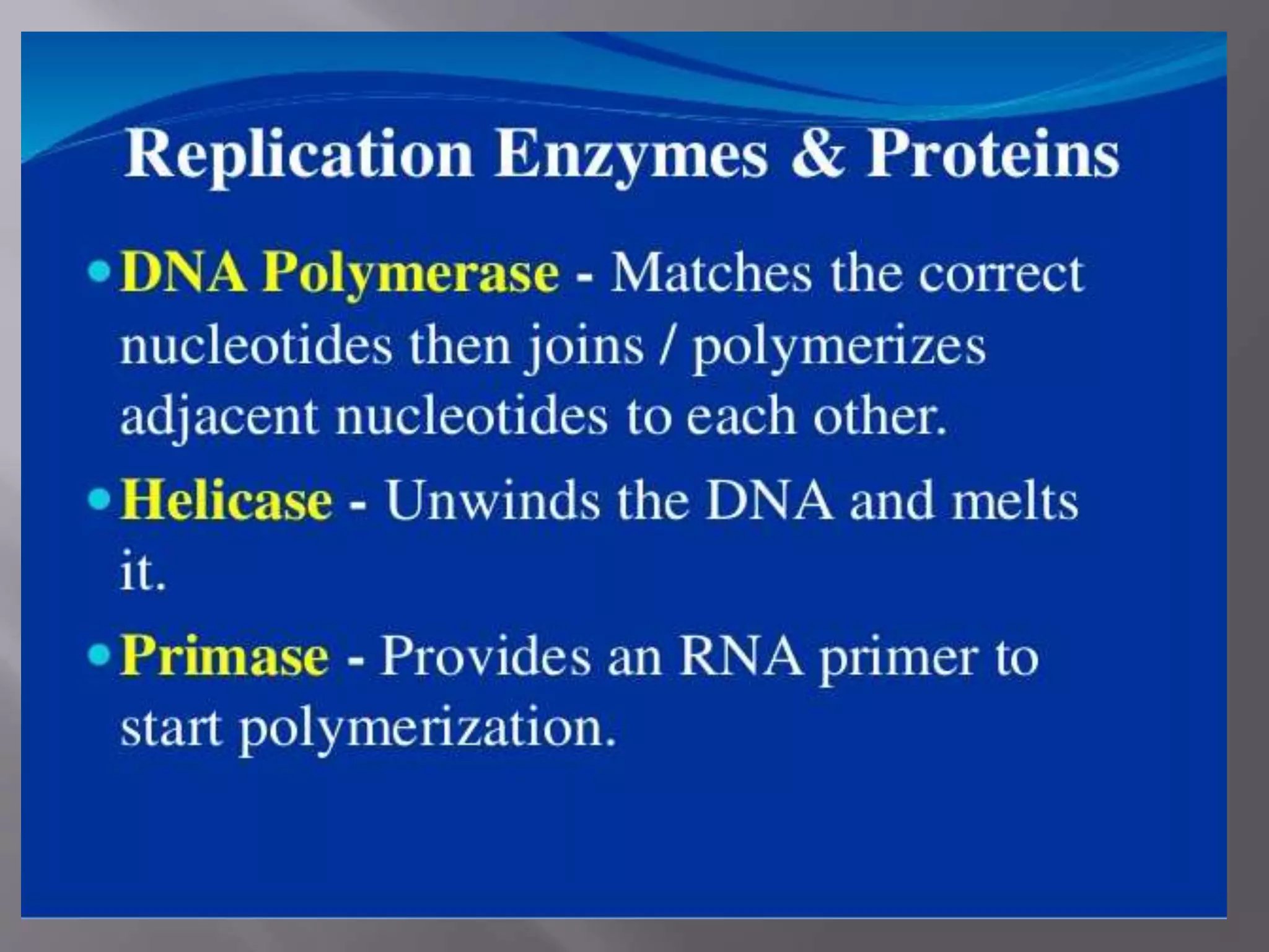 DNA replication Prashant.pptx