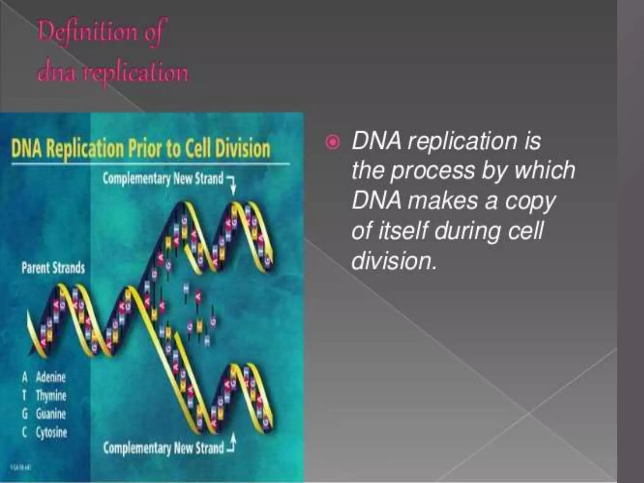 DNA replication Prashant.pptx
