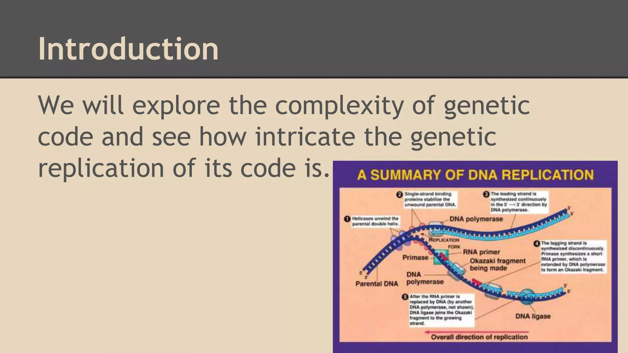 Dna replication project Middle school | PPTX