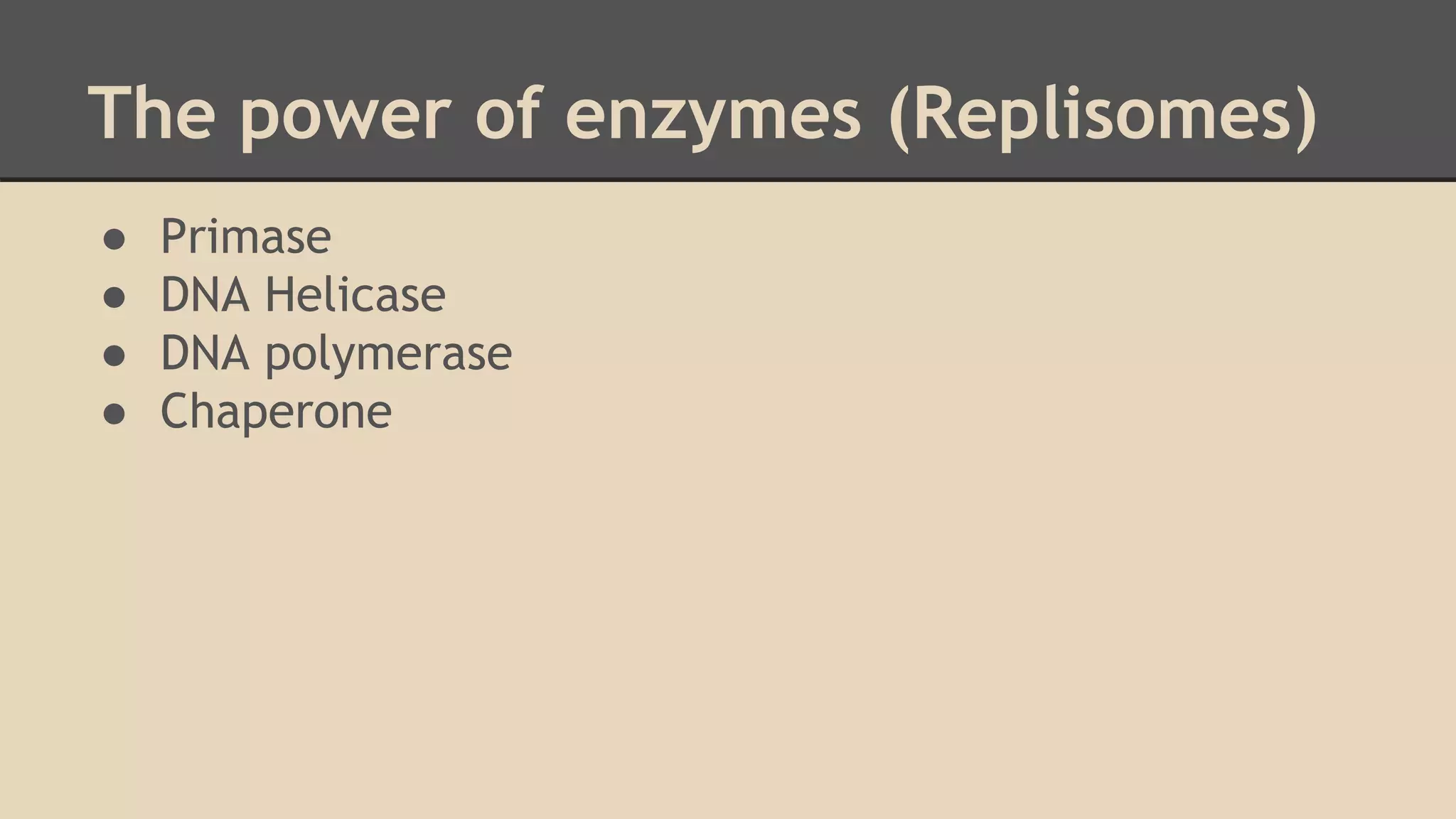 Dna replication project Middle school | PPTX