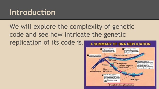 Dna replication project Middle school | PPTX