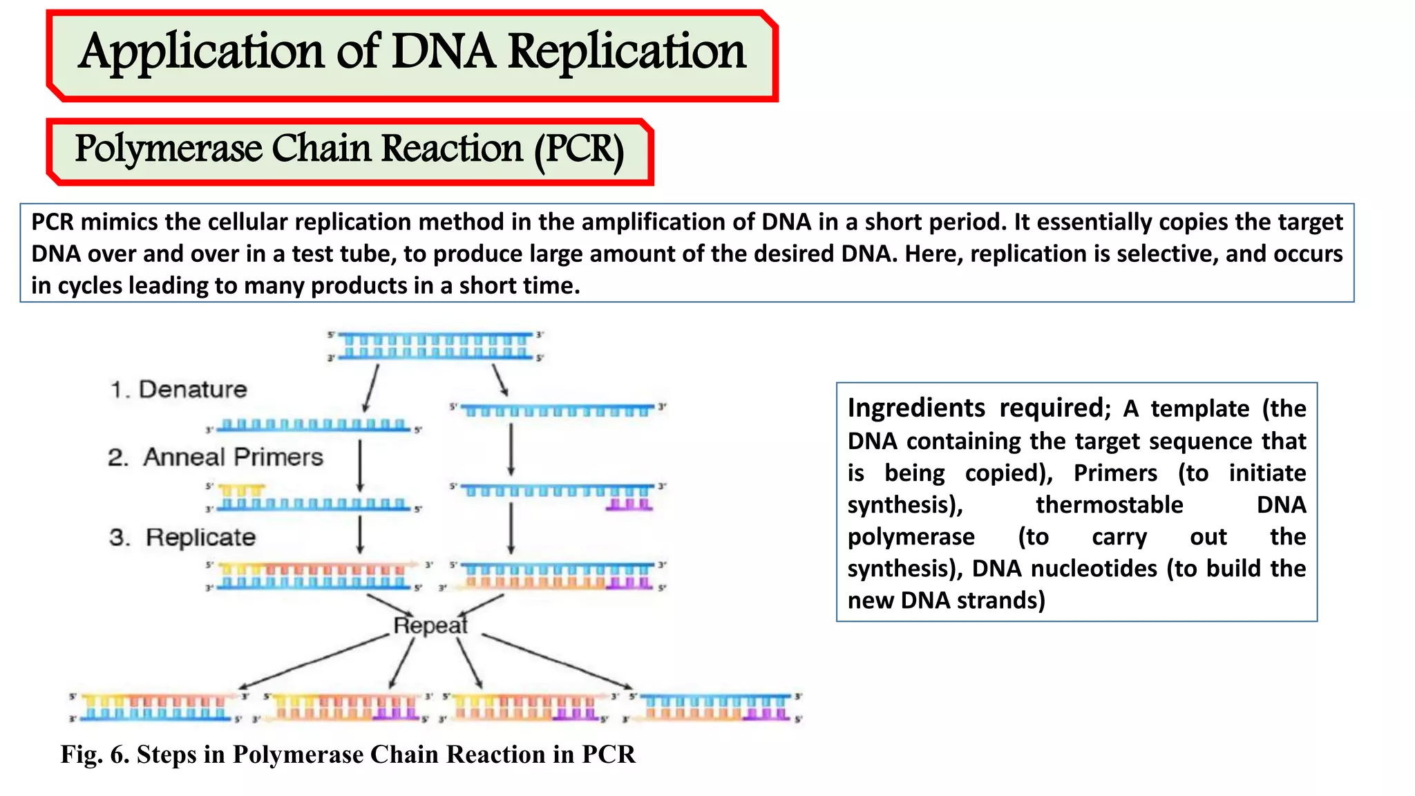 Dna replication recombination | PPTX