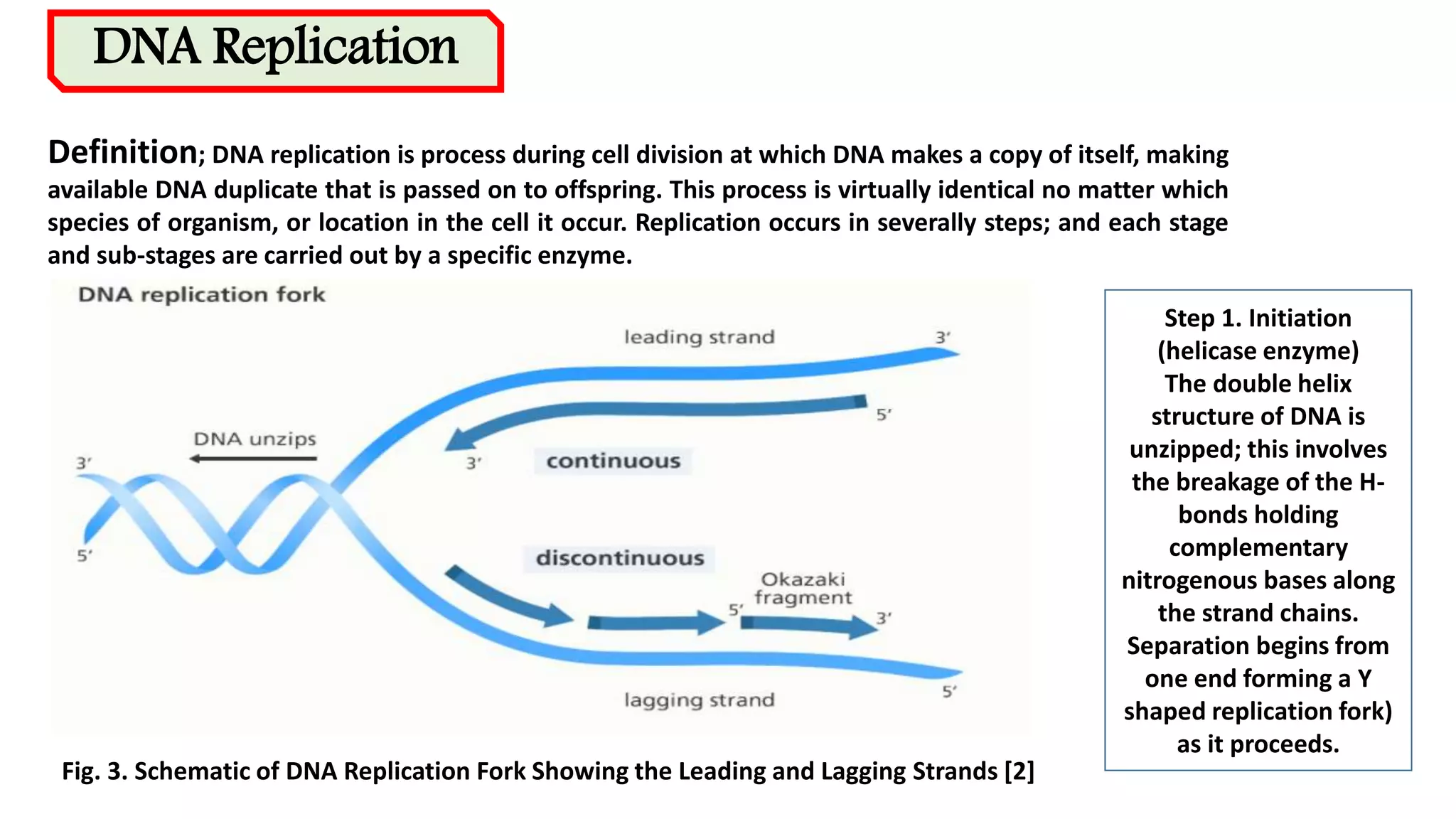 Dna replication recombination | PPTX