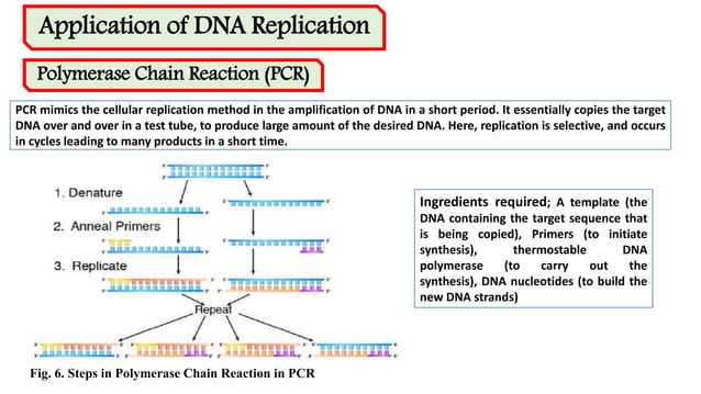 Dna replication recombination | PPT