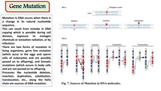 Dna replication recombination | PPTX