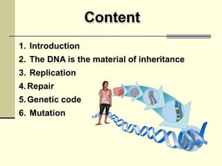 DNA replication,repair and mutation | PPTX