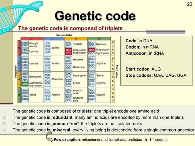 DNA replication,repair and mutation | PPT