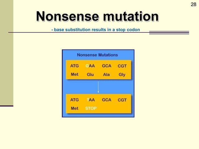 DNA replication,repair and mutation | PPT