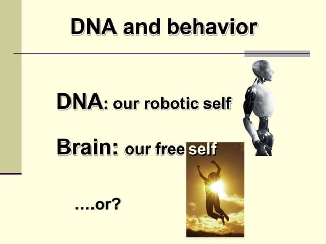 DNA replication,repair and mutation | PPT