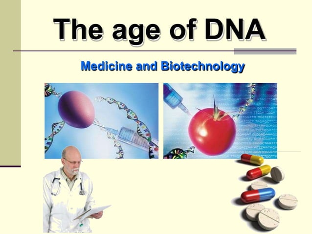 DNA replication,repair and mutation | PPT