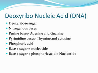 Dna replication repair ug | PPTX