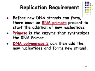 DNA Replication & Repair. | PPT