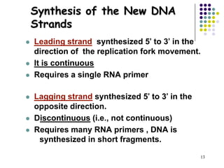 DNA Replication & Repair. | PPT