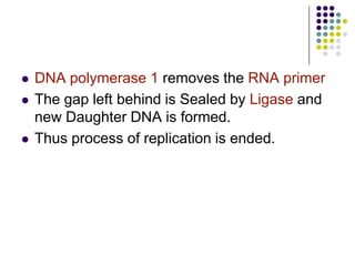 DNA Replication & Repair. | PPT