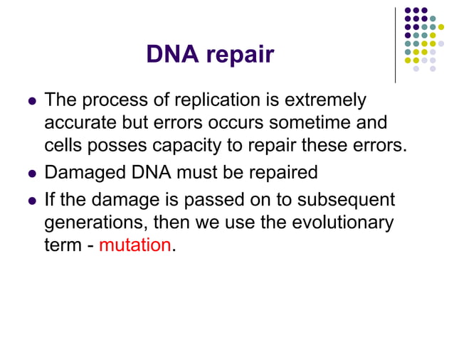 DNA Replication & Repair. | PPT