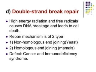 DNA Replication & Repair. | PPT