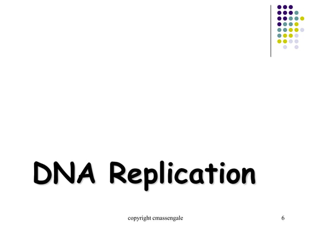 DNA Replication & Repair. | PPT