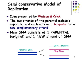DNA Replication & Repair. | PPT