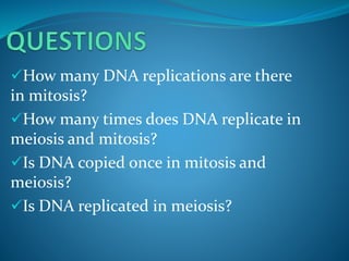 Dna replications | PPTX | Biological Sciences | Science