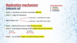DNA Replication.pptx