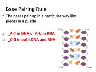 Dna replication ss | PPTX
