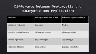 Dna replication ssb | PPT