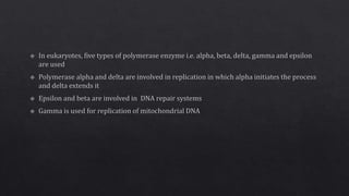Dna replication ssb | PPT