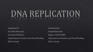 Dna replication ssb | PPT