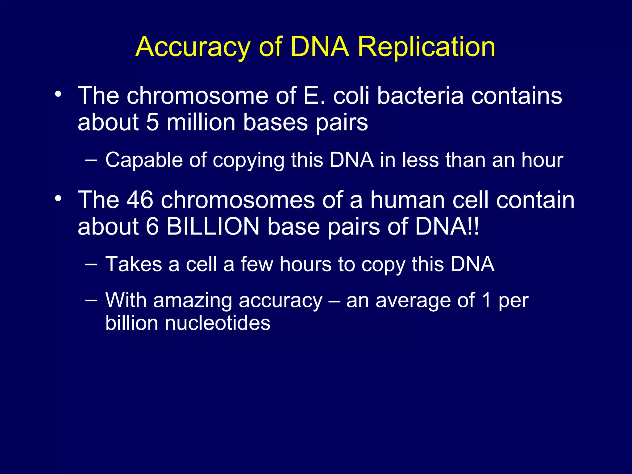 Dna replication, transcription and translation | PPT | Chemistry | Science