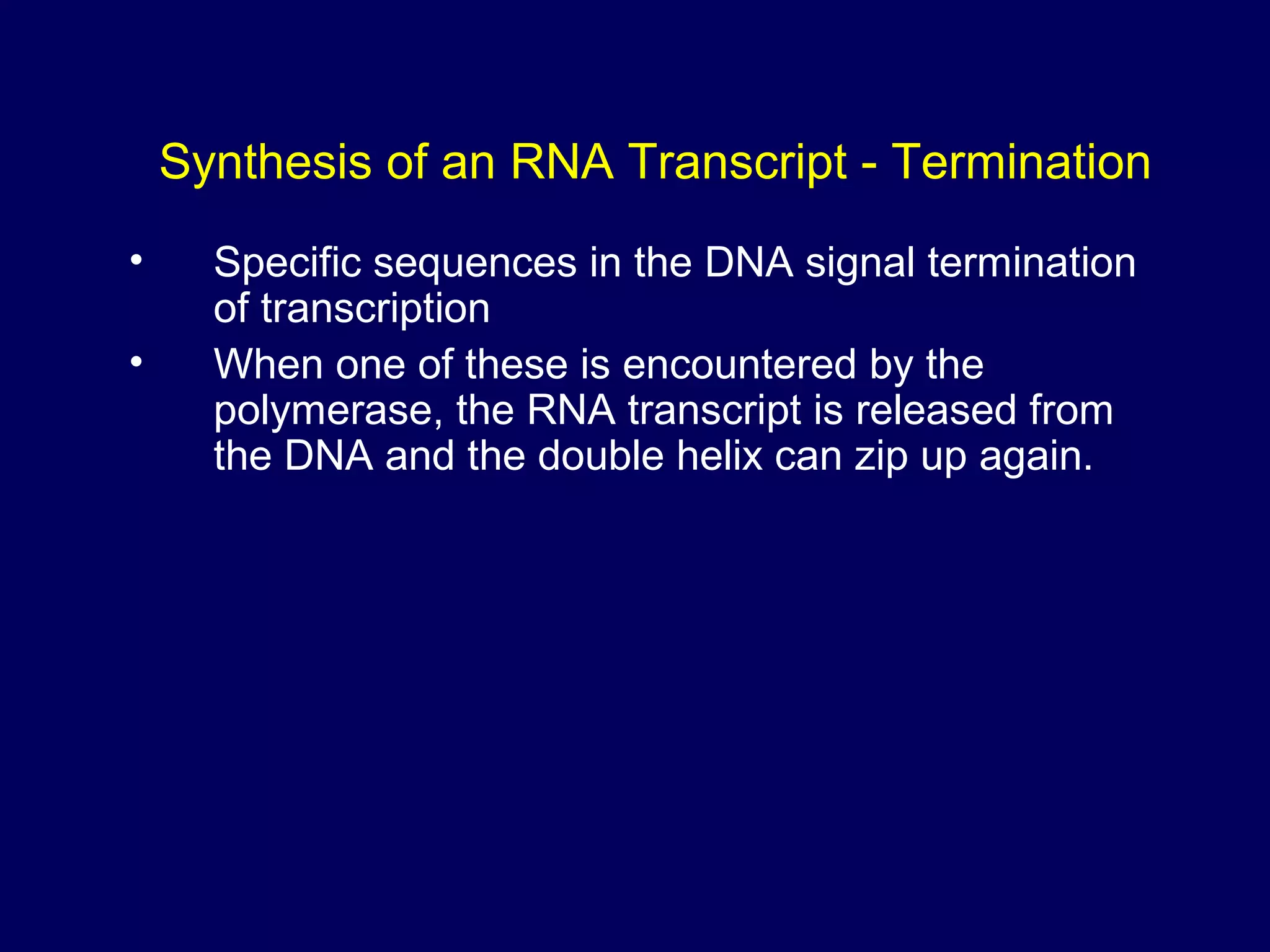 Dna replication, transcription and translation | PPT | Chemistry | Science