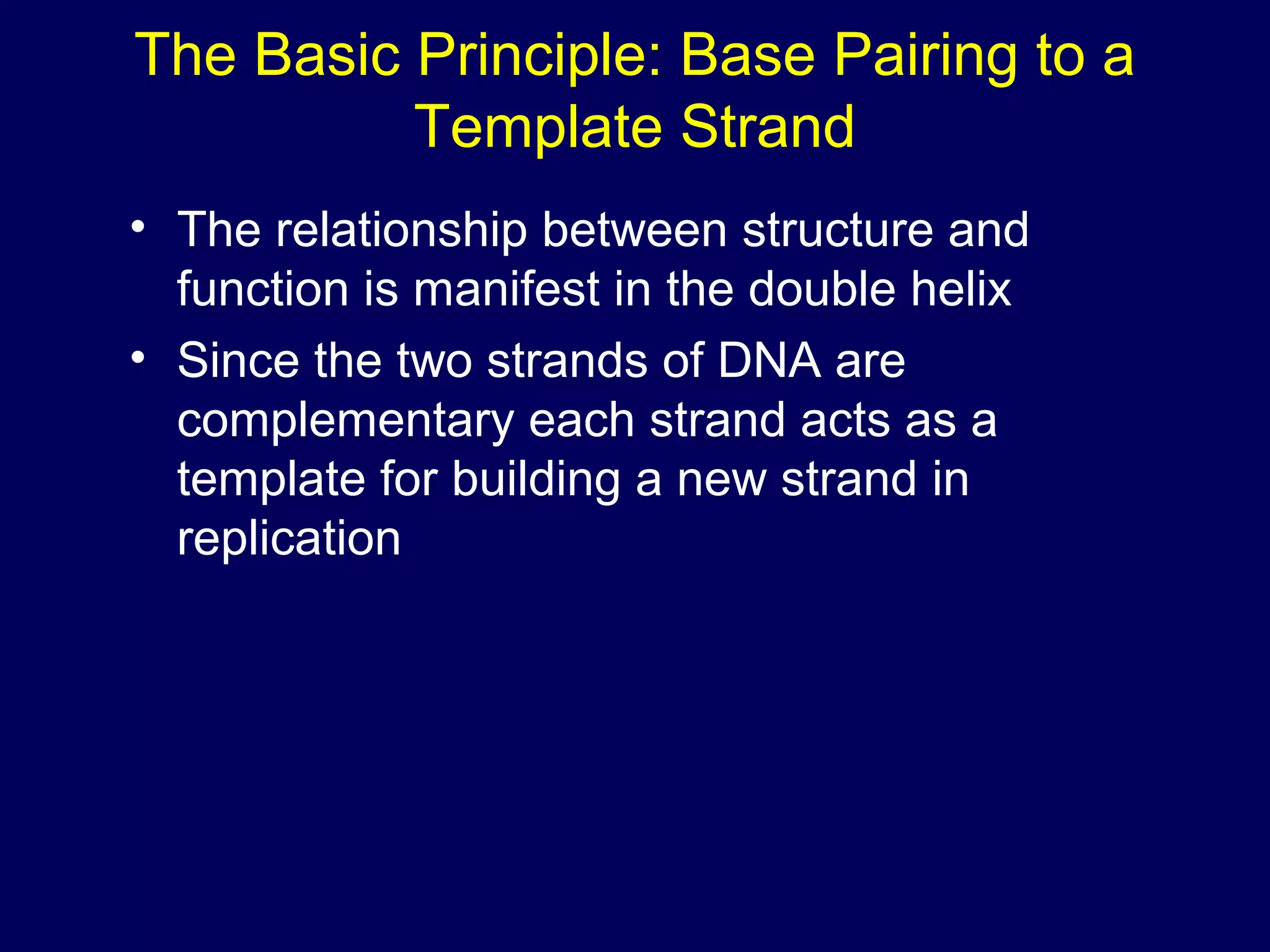 Dna replication, transcription and translation | PPT