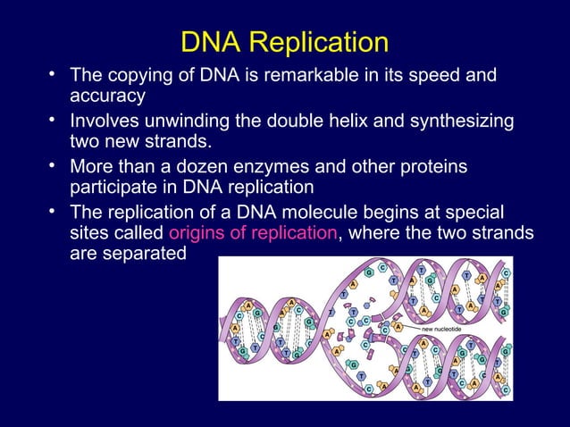 Dna replication, transcription and translation | PPT | Chemistry | Science