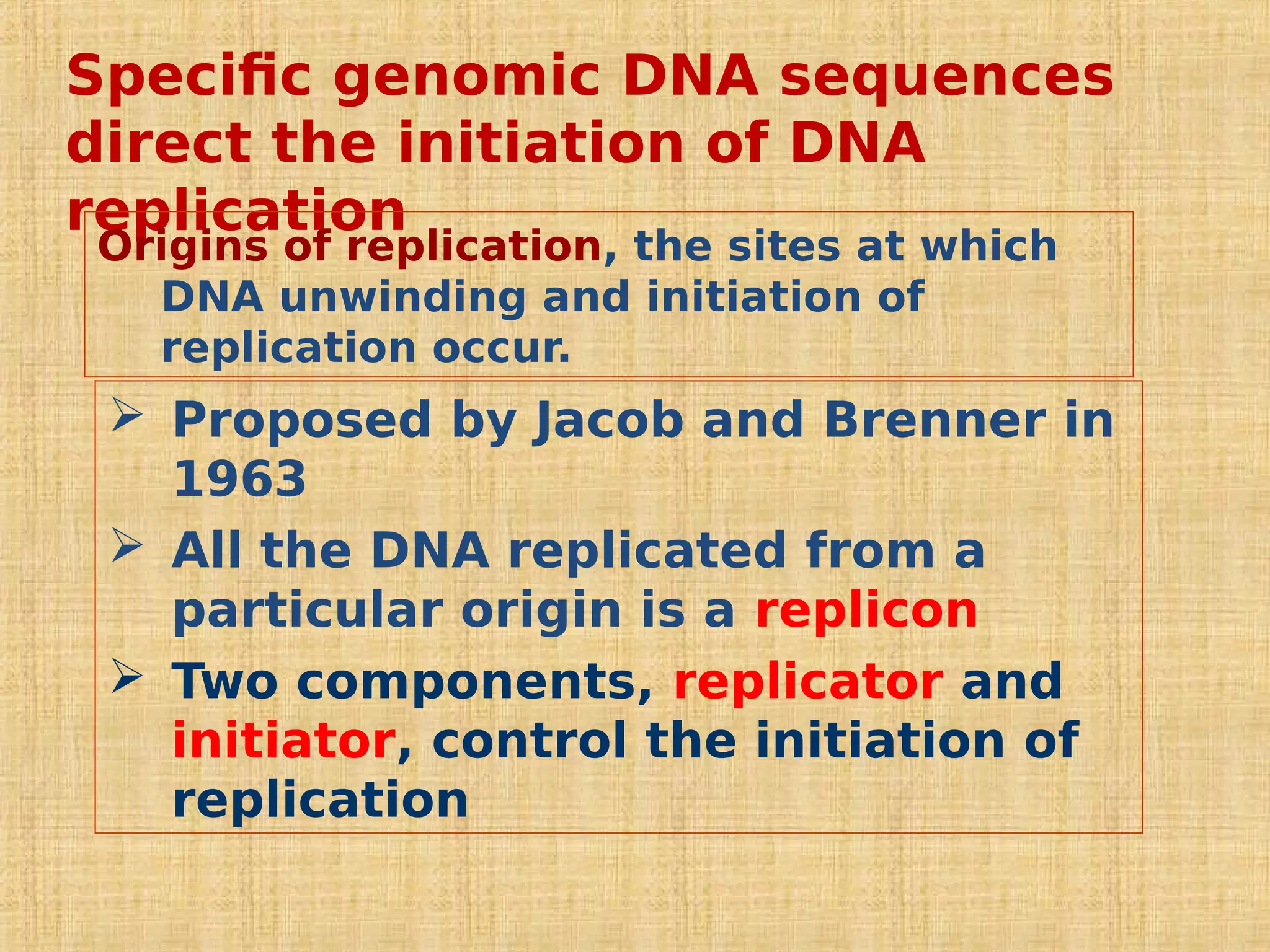DNA replication | PDF