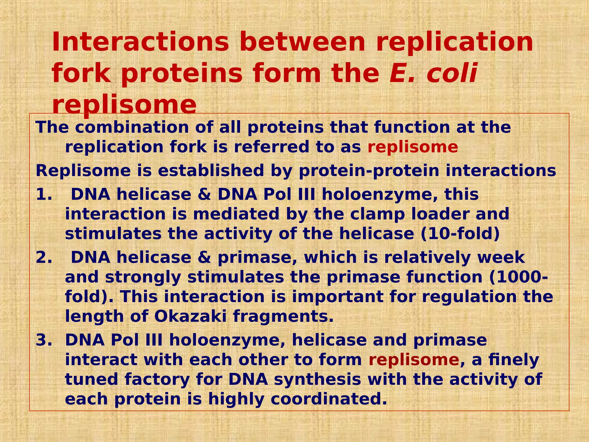 DNA replication | PDF