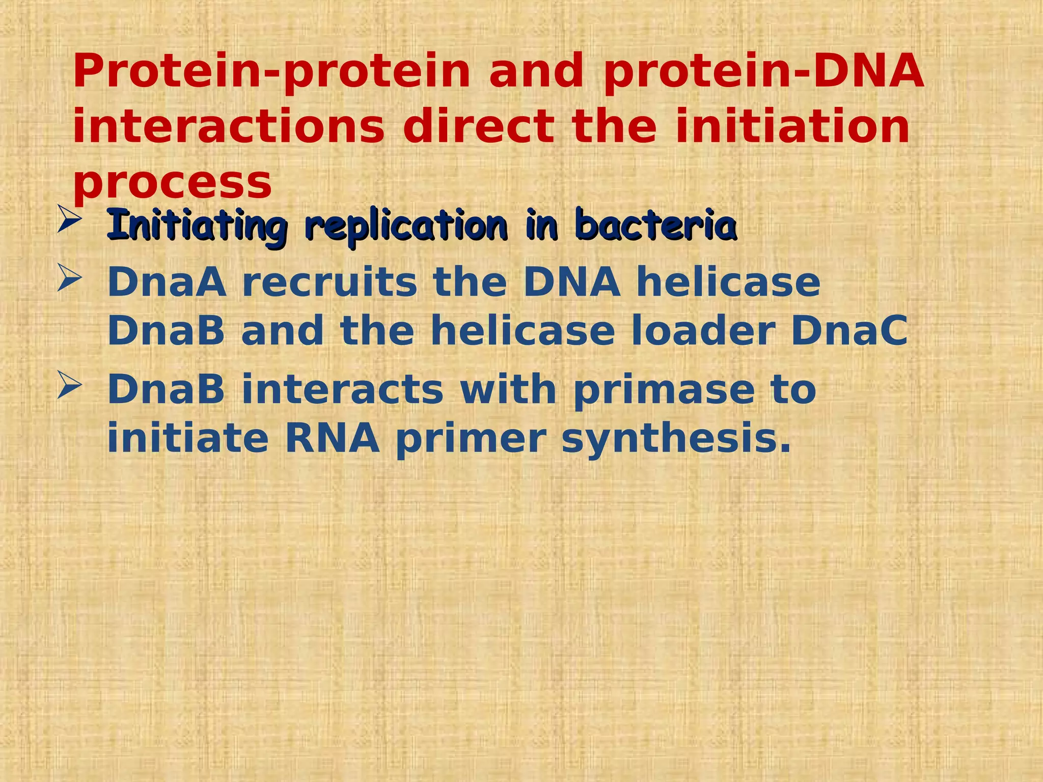DNA replication | PDF