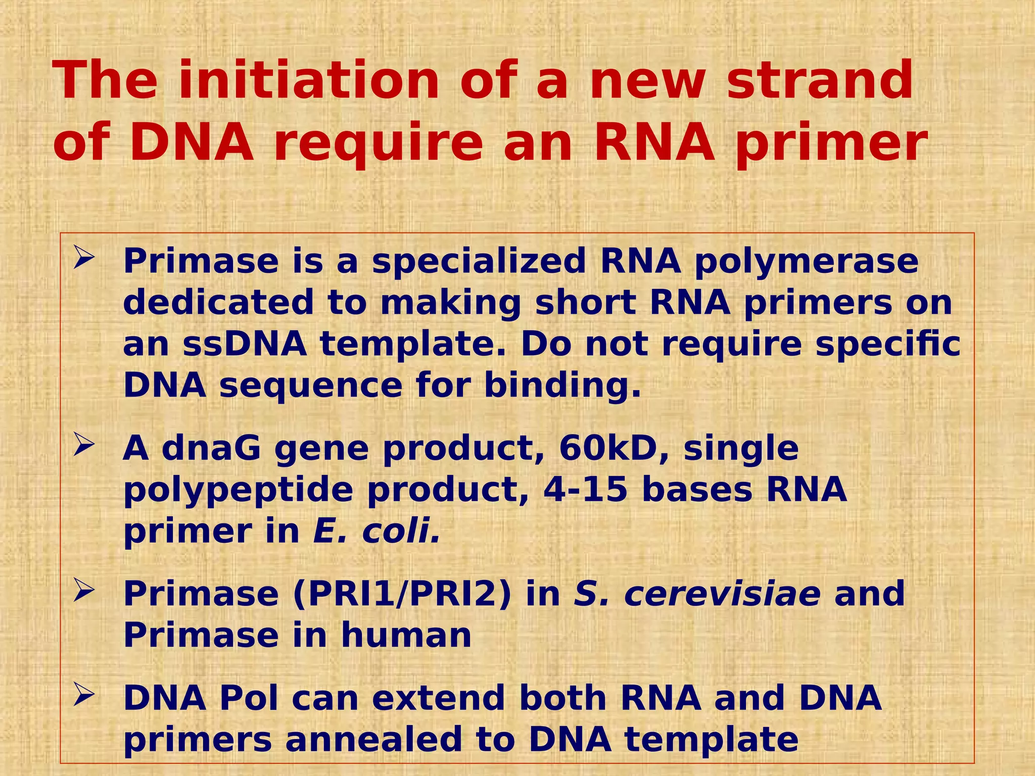 DNA replication | PDF