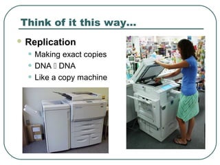DNA Replication | PPT