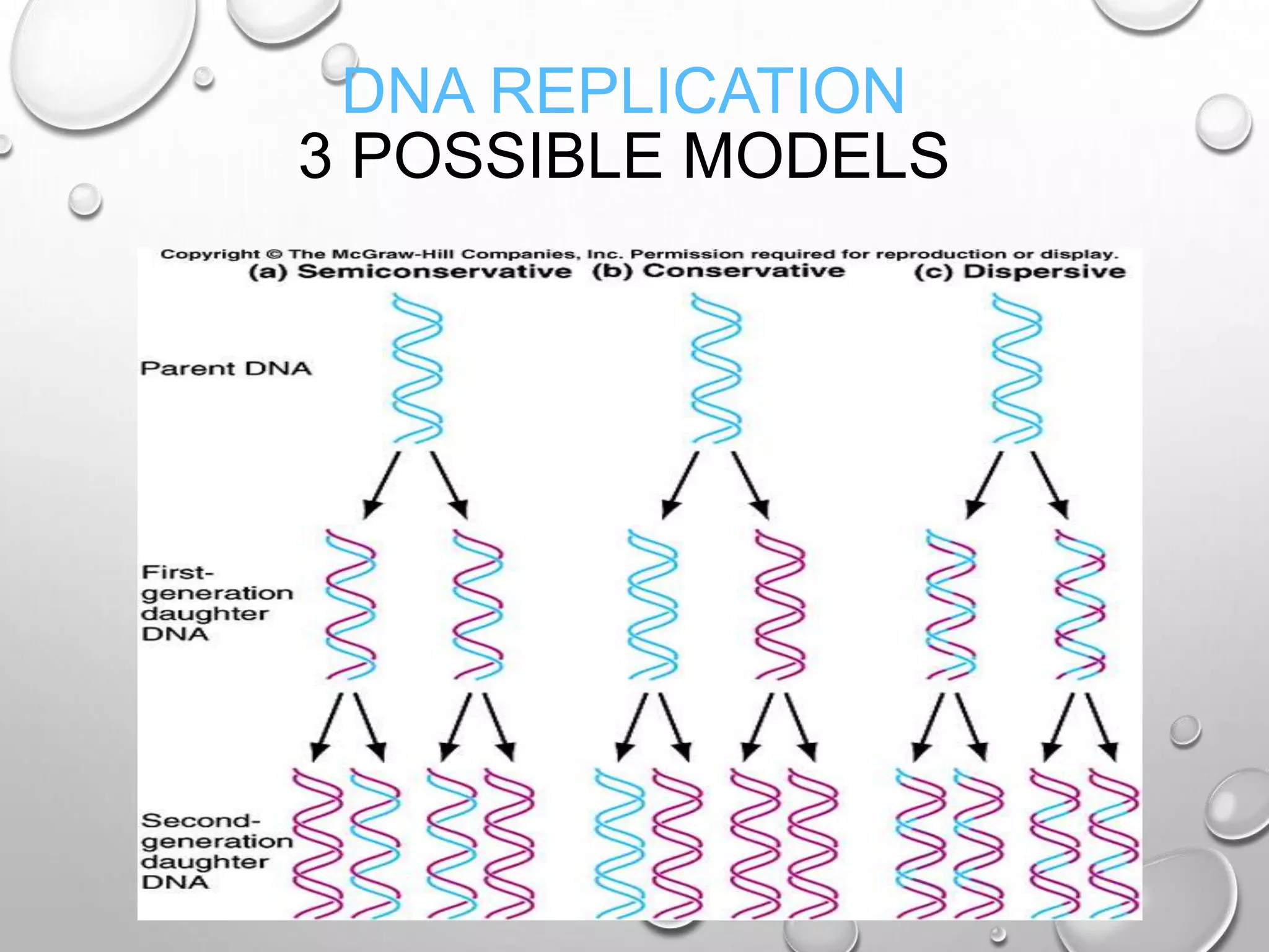 Dna replication short notes | PPTX