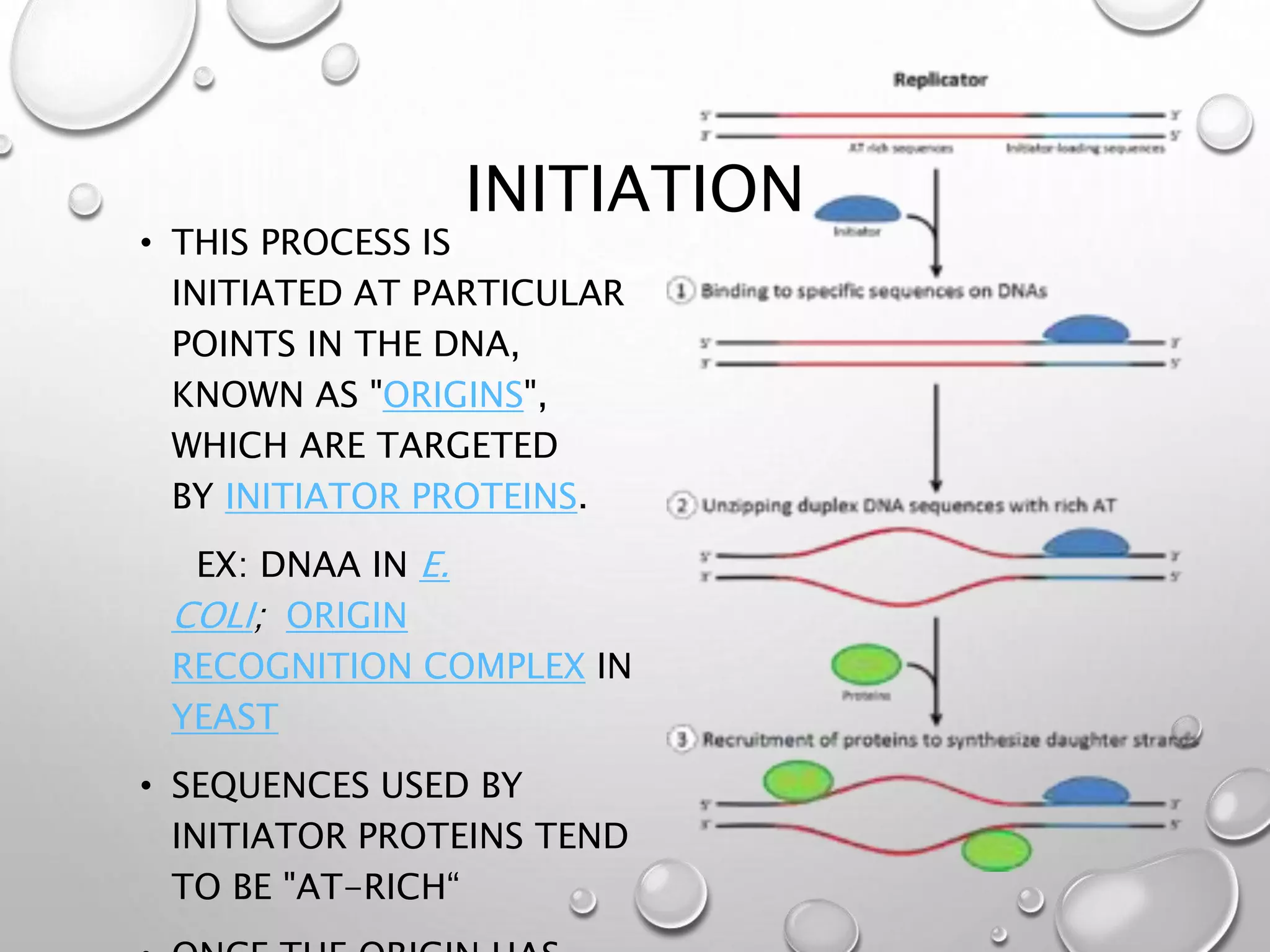Dna replication short notes | PPTX