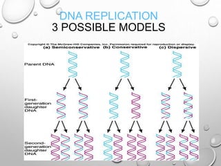 Dna replication short notes | PPTX