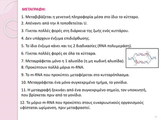 DNA, RNA & μεταλλάξεις (Κωνσταντίνα Πέτσιου-Μπεκιάρη) (1).pptx