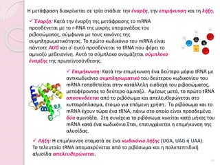 DNA, RNA & μεταλλάξεις (Κωνσταντίνα Πέτσιου-Μπεκιάρη) (1).pptx