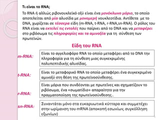 DNA, RNA & μεταλλάξεις (Κωνσταντίνα Πέτσιου-Μπεκιάρη) (1).pptx