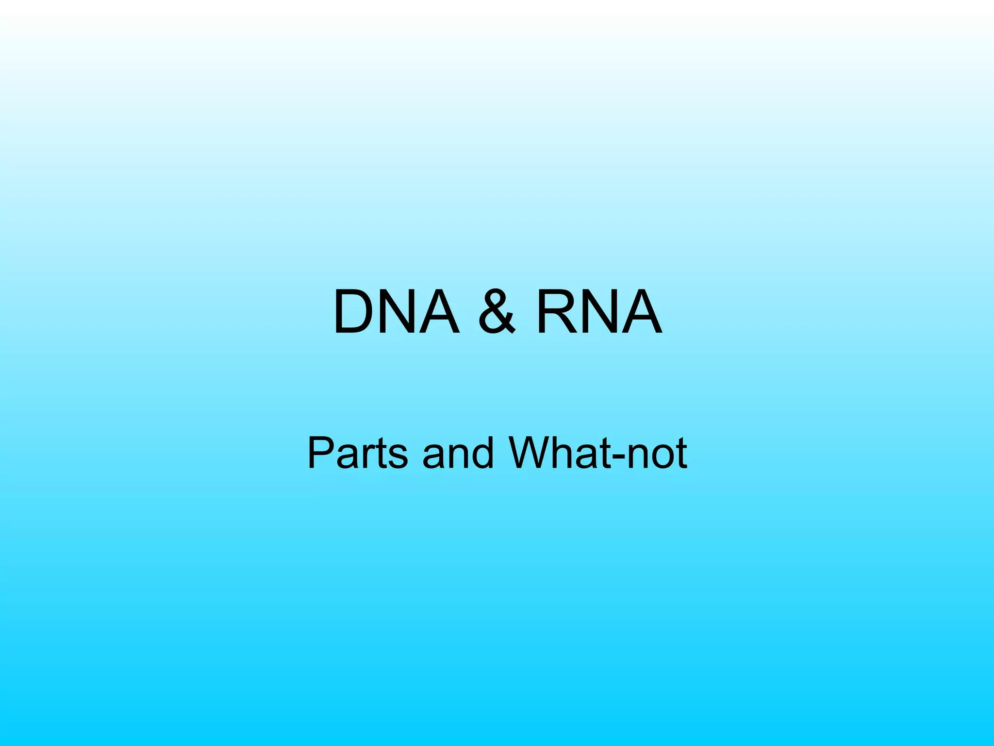 DNA & RNA | PPT