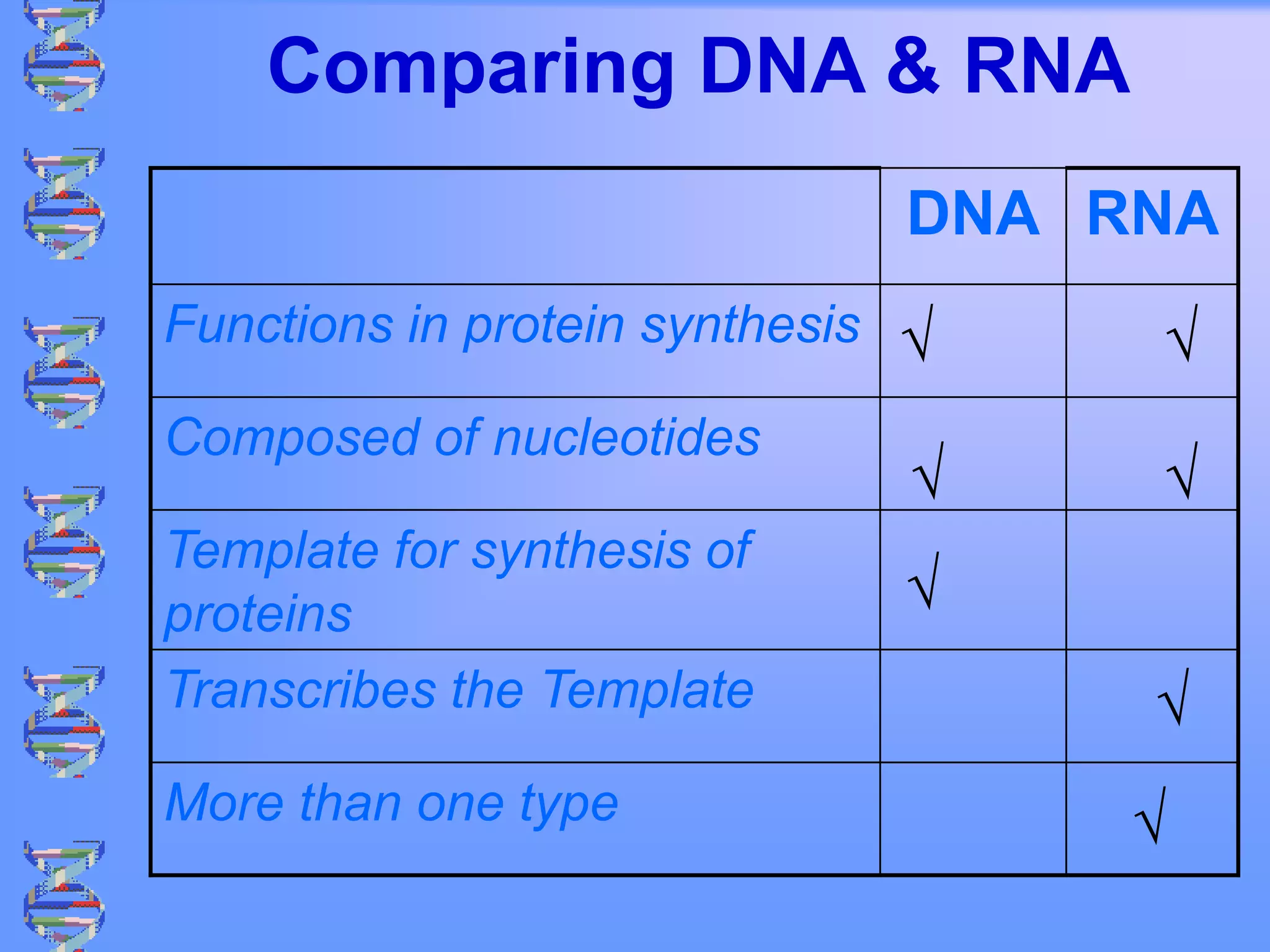 DNA RNA-101.ppt