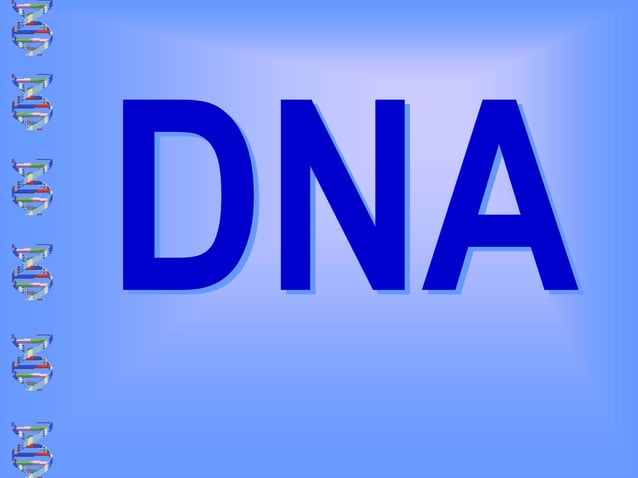 DNA RNA-101.ppt