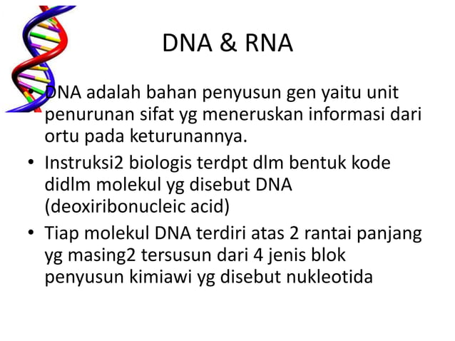 mata kuliah Biologi (DNA dan RNA ) semester 1 prodi peternakan | PPTX